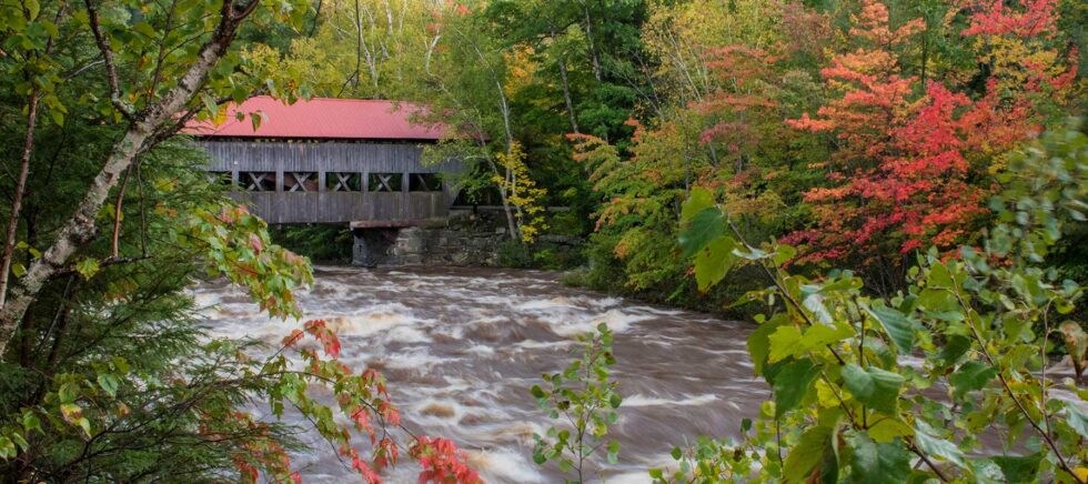 Fall Foliage Reports - North Conway NH area seasonal Information and Guide