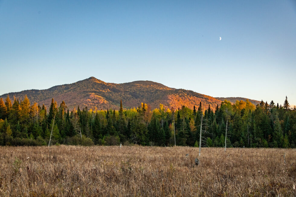 Fall Foliage Reports - North Conway NH area seasonal Information and Guide